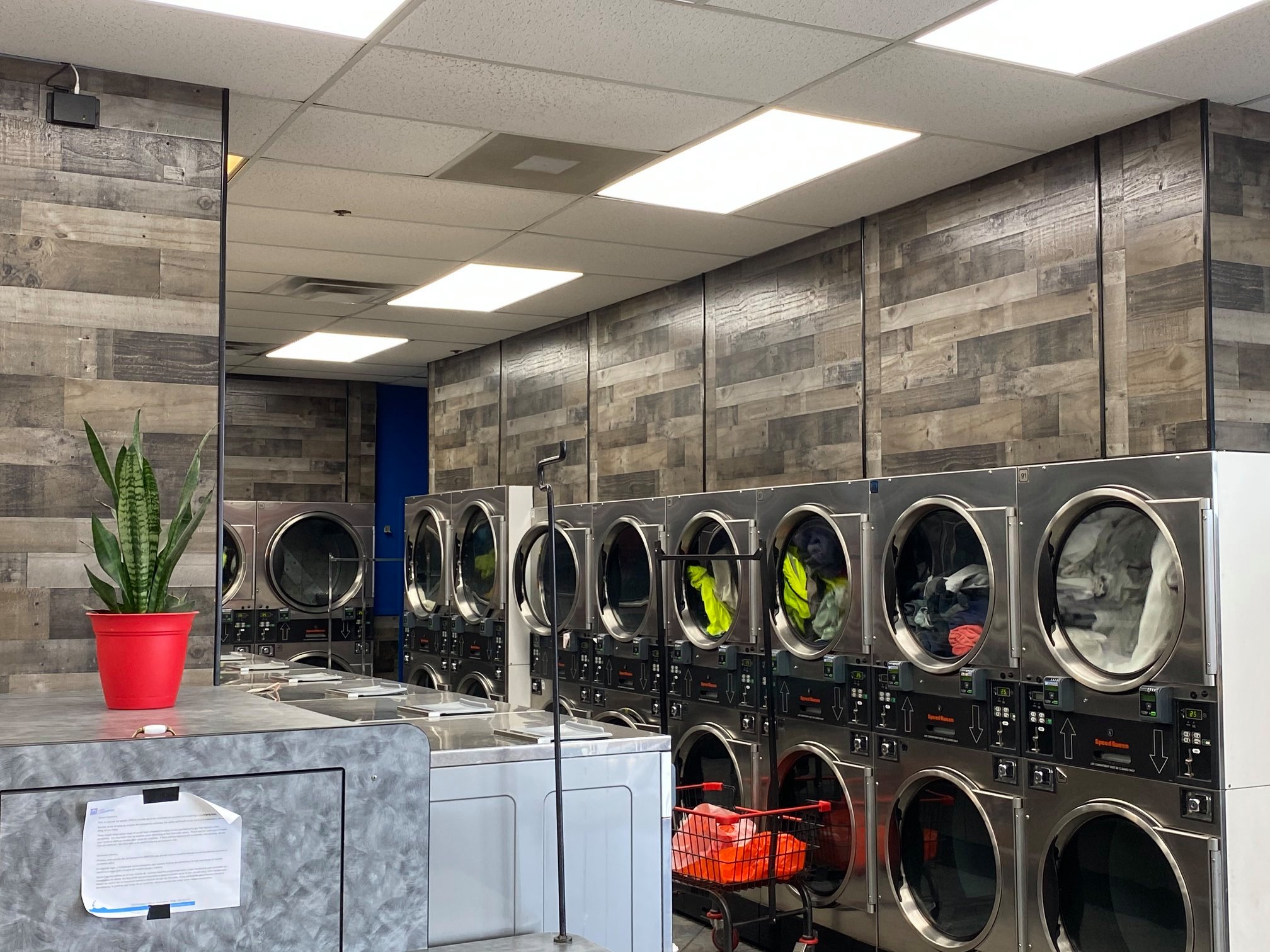 Just Approved: In & Out Laundry - ABC Consulting News